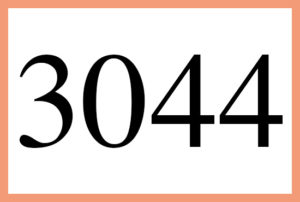 3044のエンジェルナンバーの意味は『天界の人々があなたと共にいます』です | More Than Ever