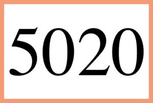 5020のエンジェルナンバーの意味は『天を信じ変化を乗り切って』です | More Than Ever