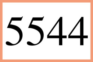 5544のエンジェルナンバーの意味は『天使があなたを見守っています』です | More Than Ever