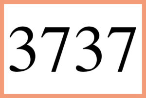 3737のエンジェルナンバーの意味は『あなたは正しい道を進んでいます』です | More Than Ever