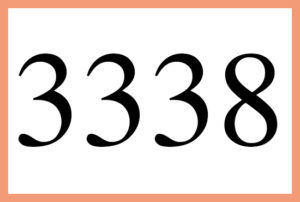 3338のエンジェルナンバーの意味は『マスターに従い豊かさを受け入れて』です | More Than Ever