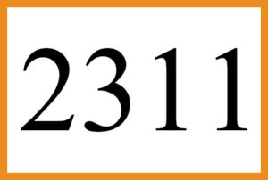 2311のエンジェルナンバーの意味は『すべてはあなたの信念にかかっています』です | More Than Ever