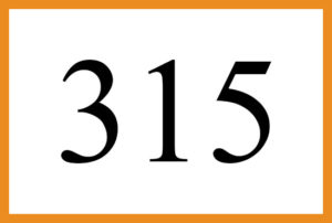 315のエンジェルナンバーの意味は『マスターたちもあなたの情熱を支持しています』です | More Than Ever