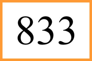 833のエンジェルナンバーの意味は『マスターたちがあなたの願いに応えています』です | More Than Ever