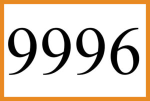 9996のエンジェルナンバーの意味は『この星があなたの使命を必要としています。いますぐ立ち上がってください』です | More Than Ever